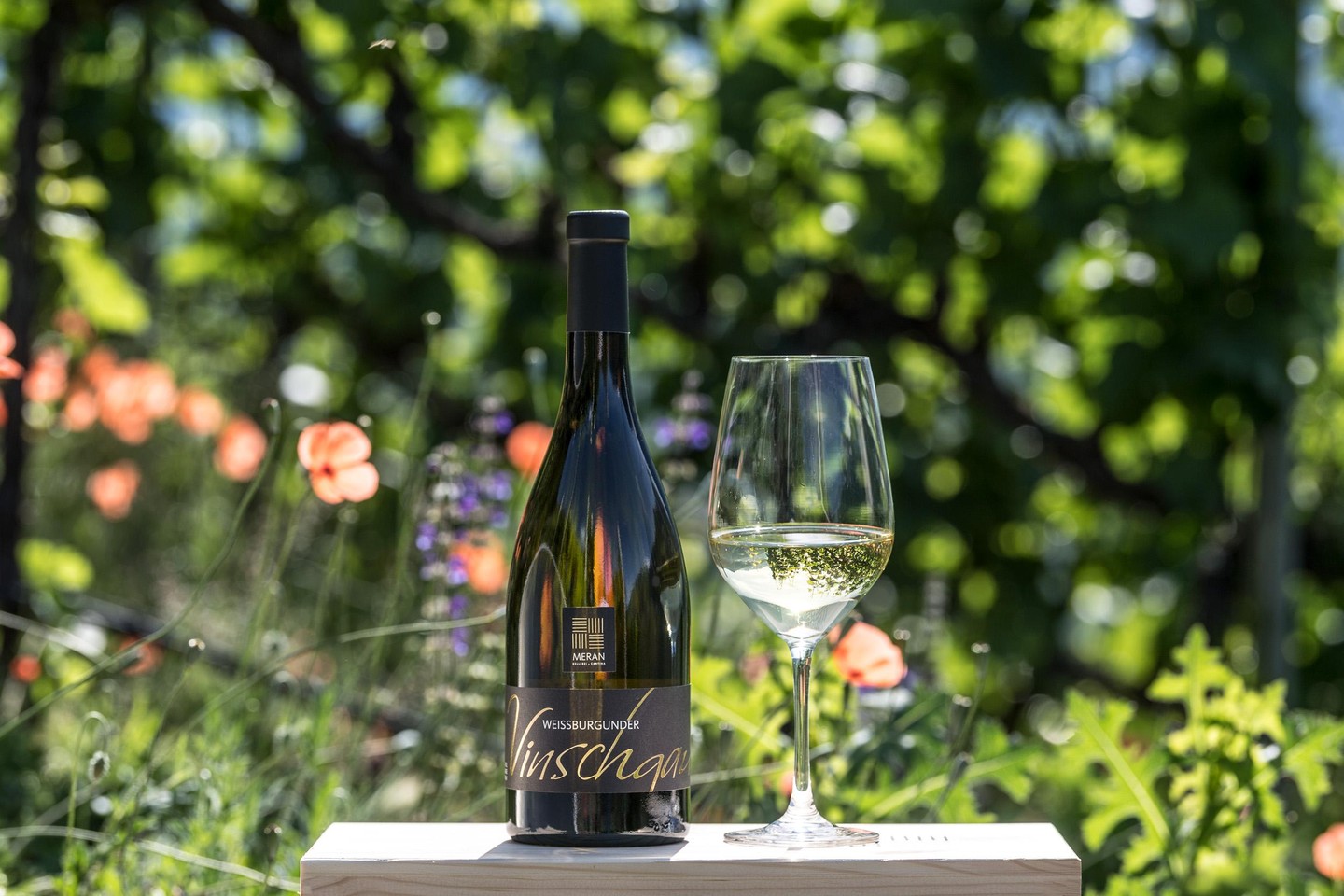 Kellerei Meran - Cantina Merano - Marling - Meran und Umgebung