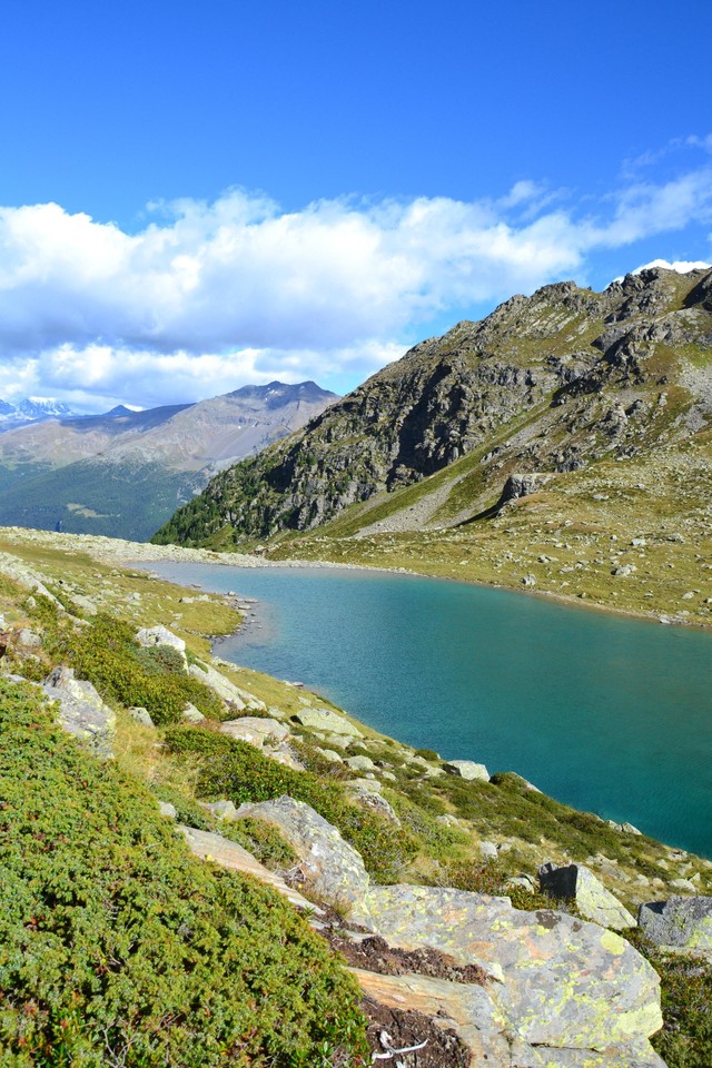 Pro loco Valdisotto - Valdisotto - Valtellina