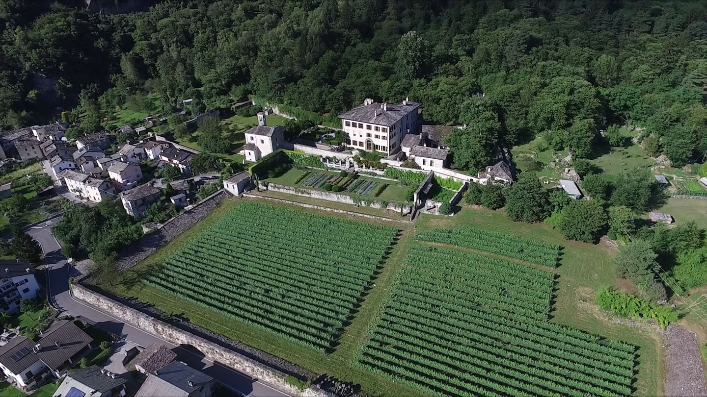 Azienda vinicola Mamete Prevostini - Mese - Valtellina