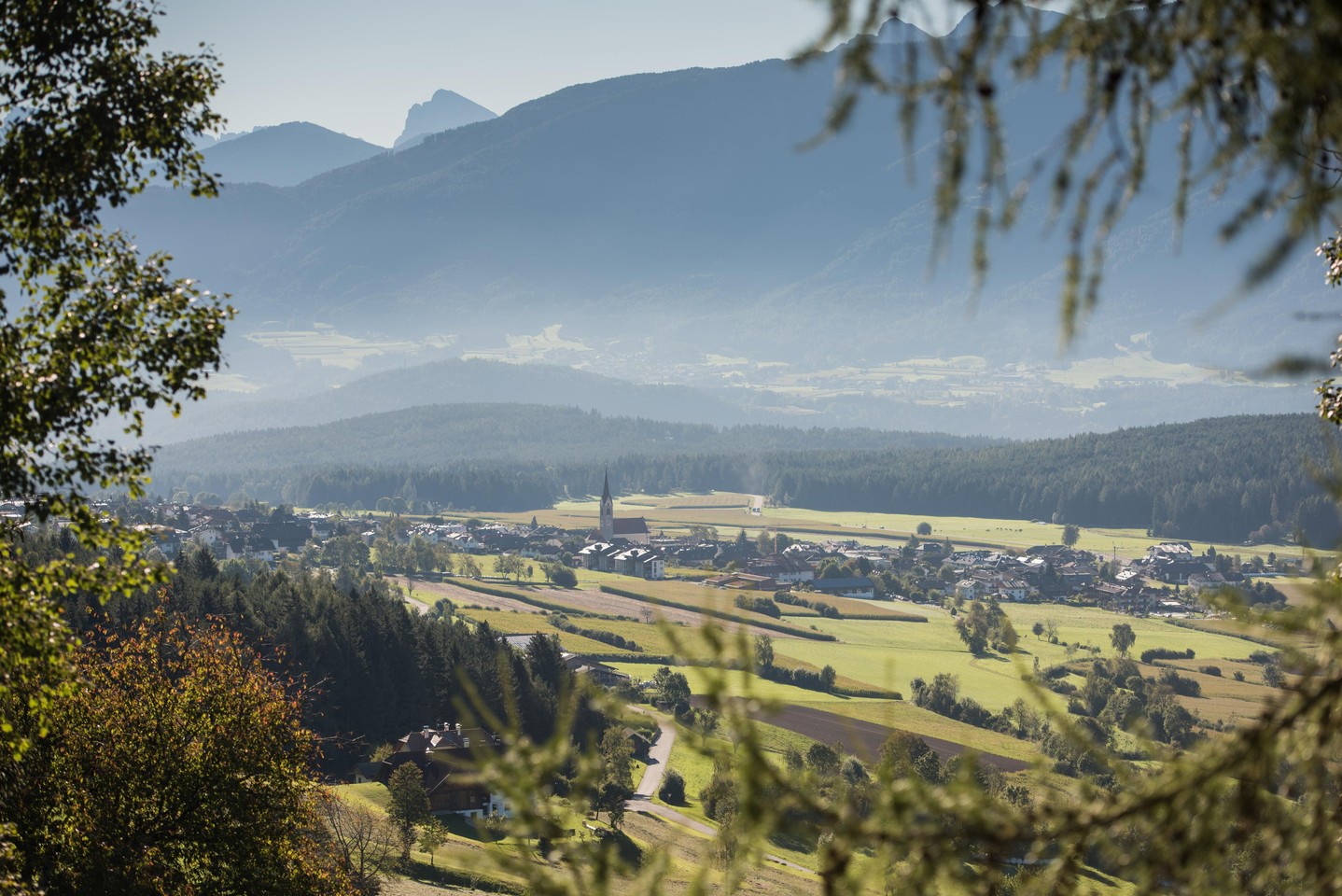 Information office Falzes - Falzes / Pfalzen